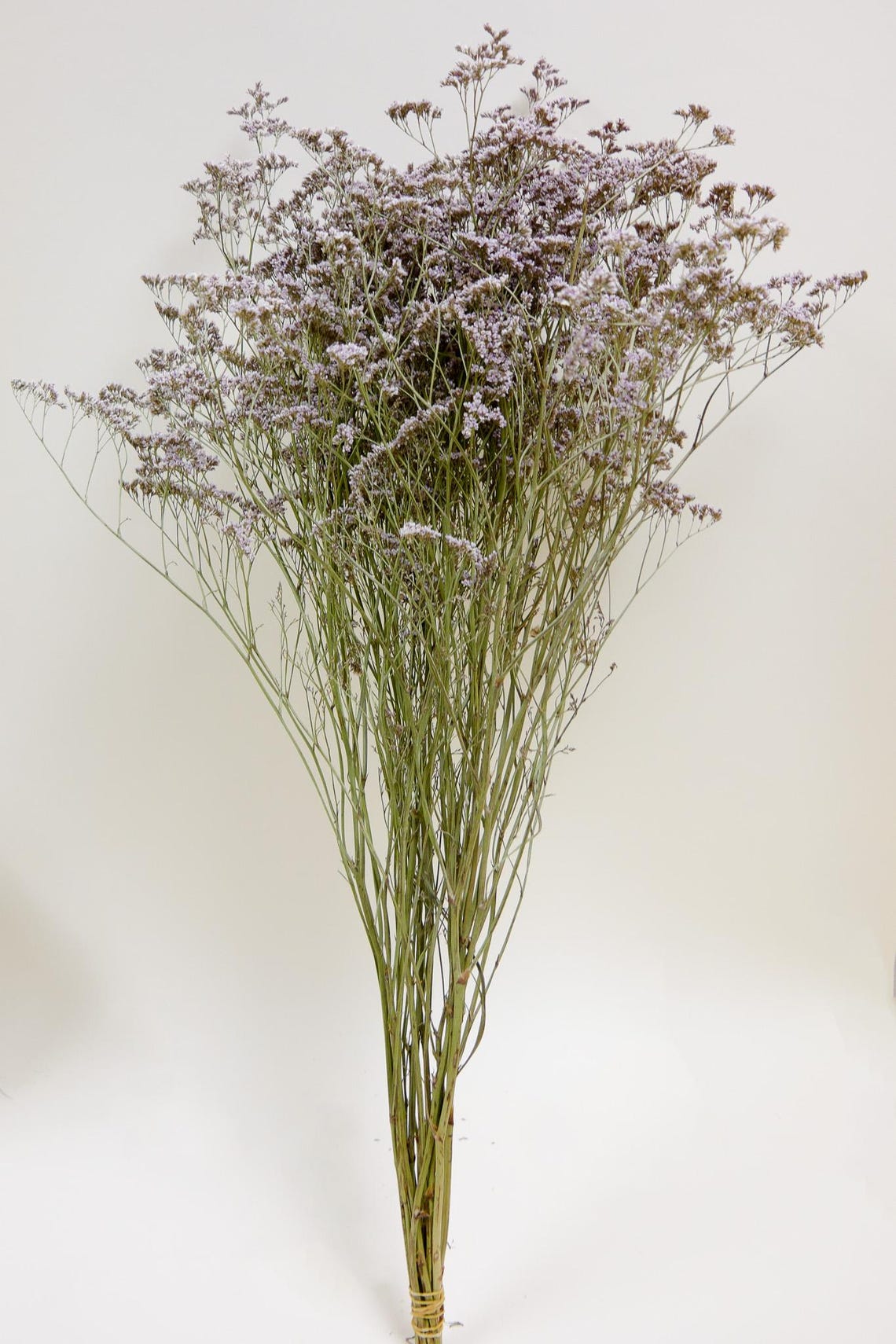 Dried Flower Limonium Misty Blue - Natural Purple - Etsy