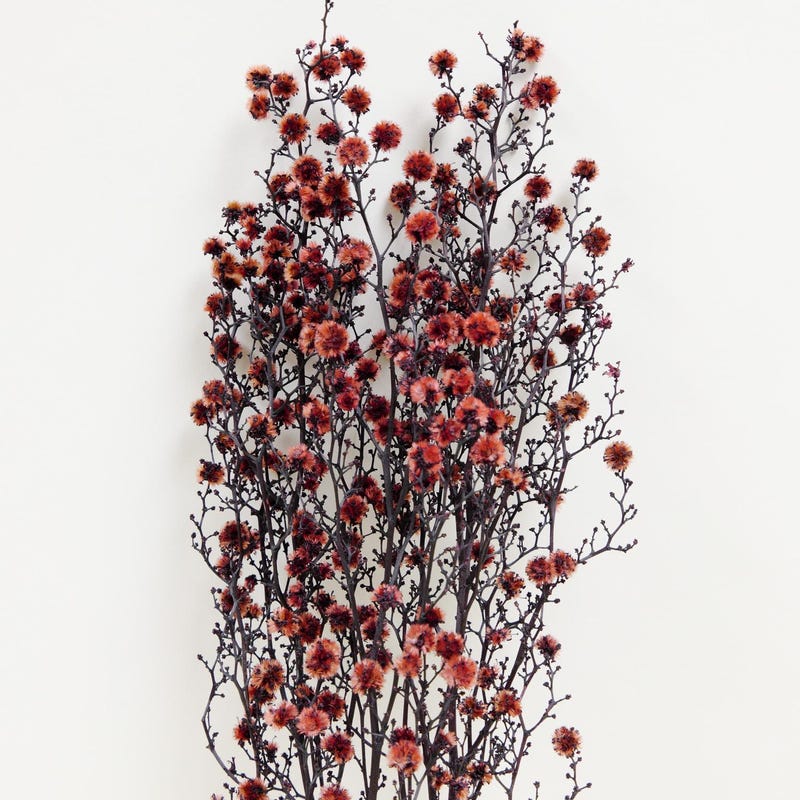LeGrenierFleuriste - Etsy