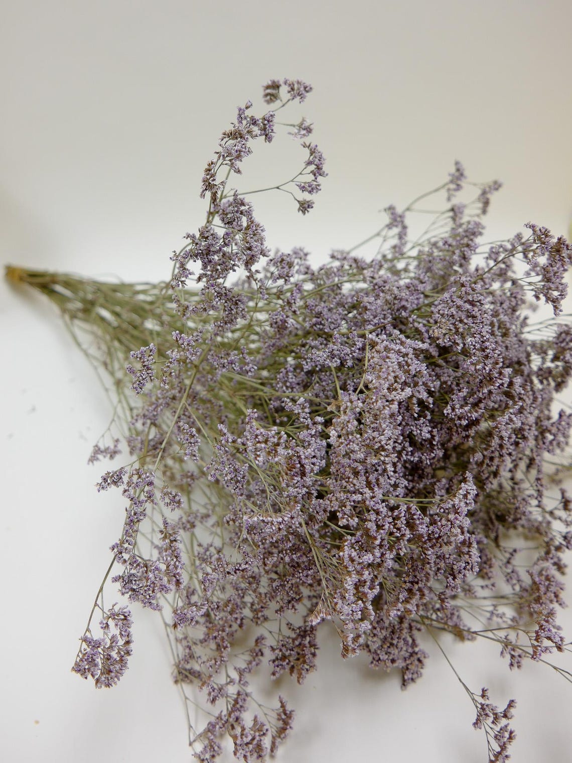 Dried Flower Limonium Misty Blue - Natural Purple - Etsy