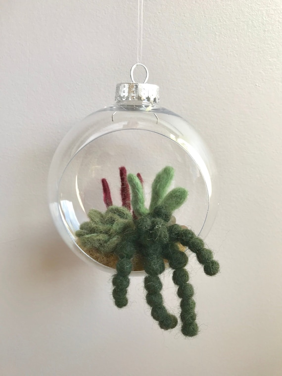 Needle Felted Hanging Succulent Cactus Terrarium | Etsy
