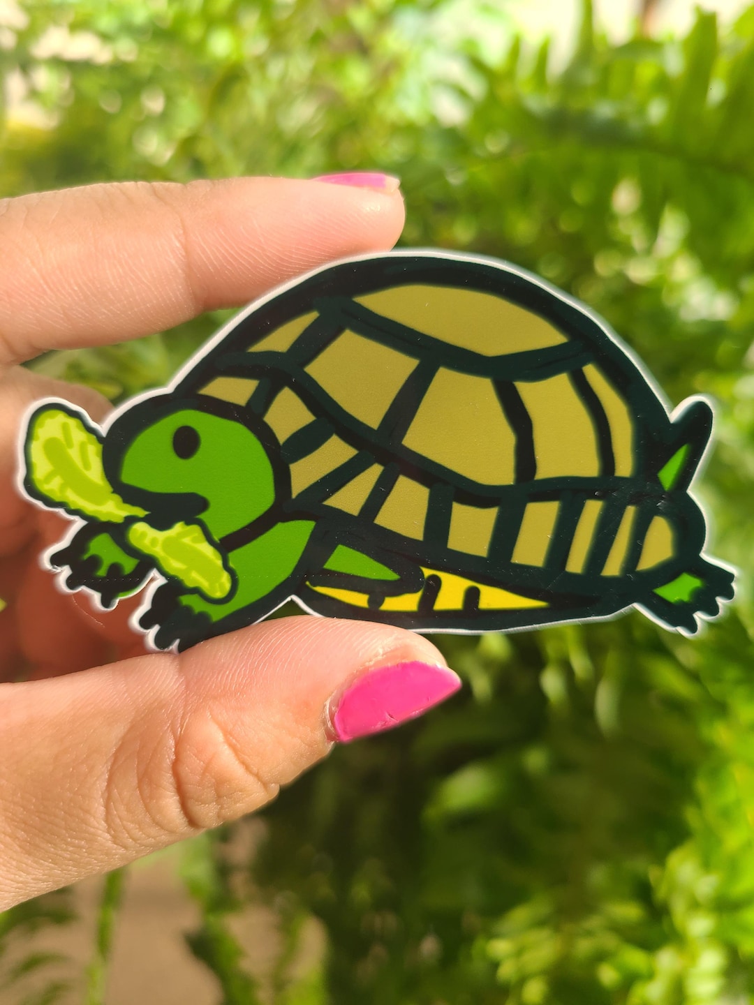 Kawaii Turtle Sticker | Tortoise Eating Lettuce Sticker, Cute Reptile ...