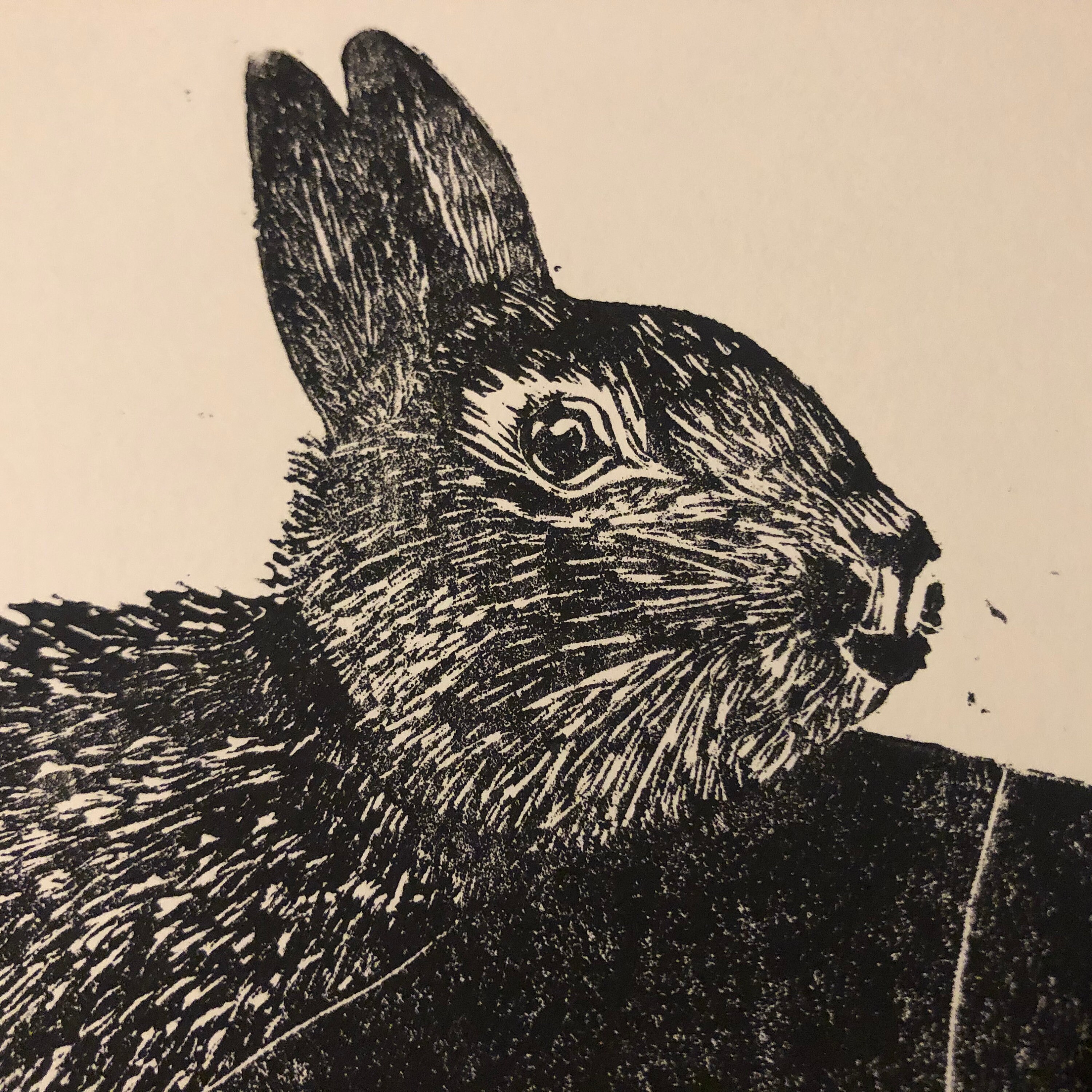 Linocut Bunny in Carrot Car / Linocut: Rabbit in a Carrot Car - Etsy