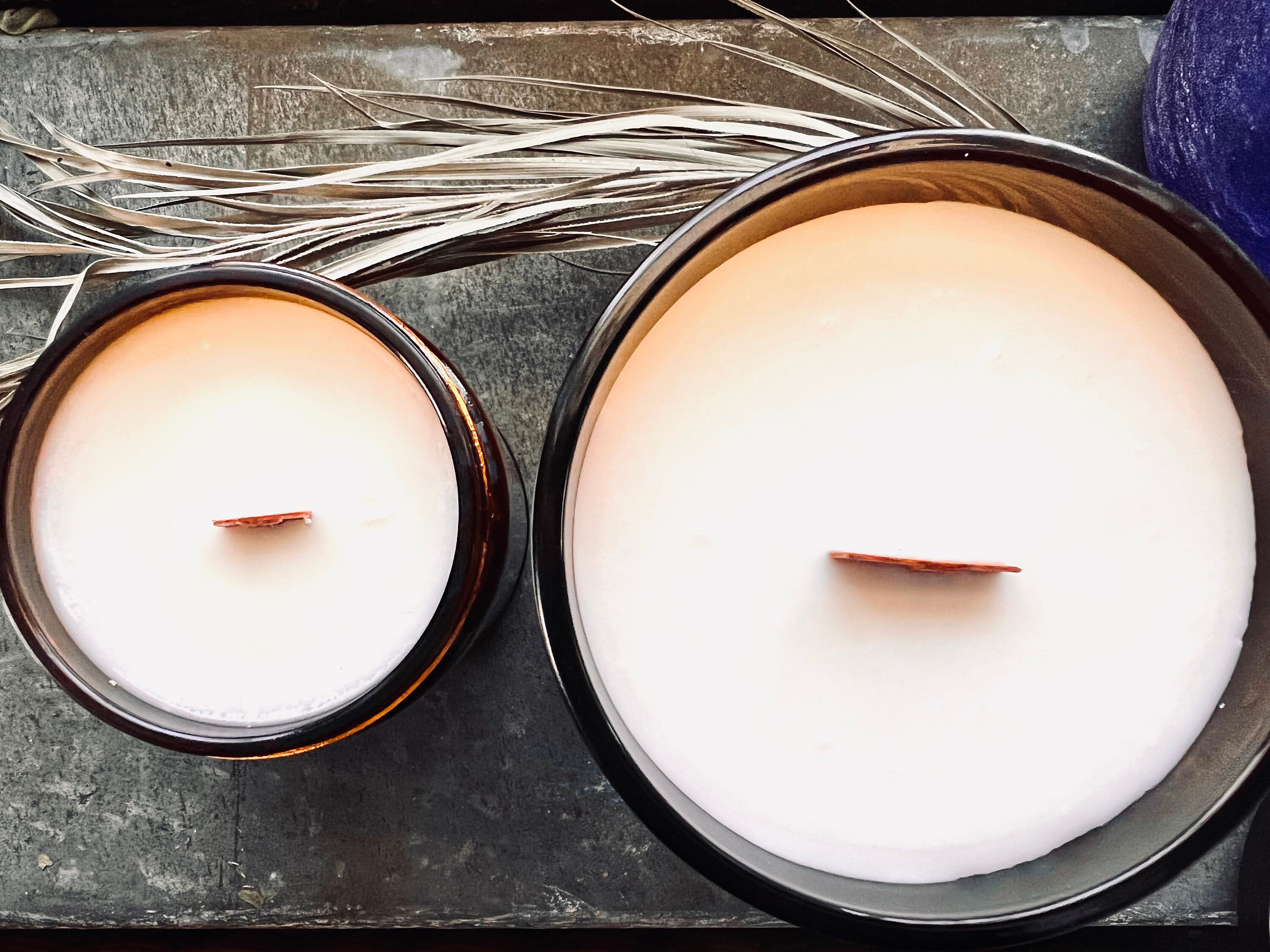 Wooden Wick Candles — Forest Offering