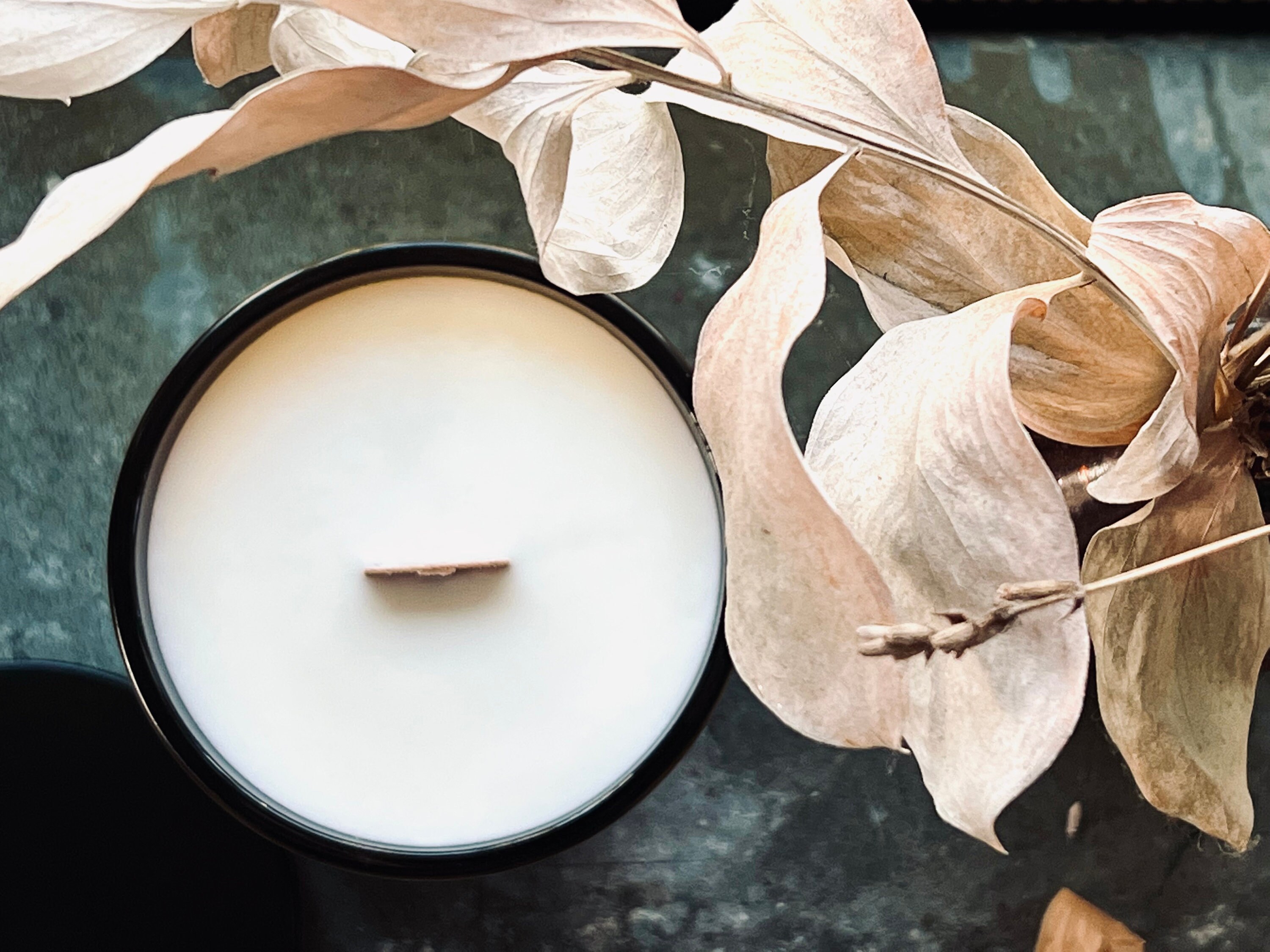 Wooden Wick Candles — Forest Offering