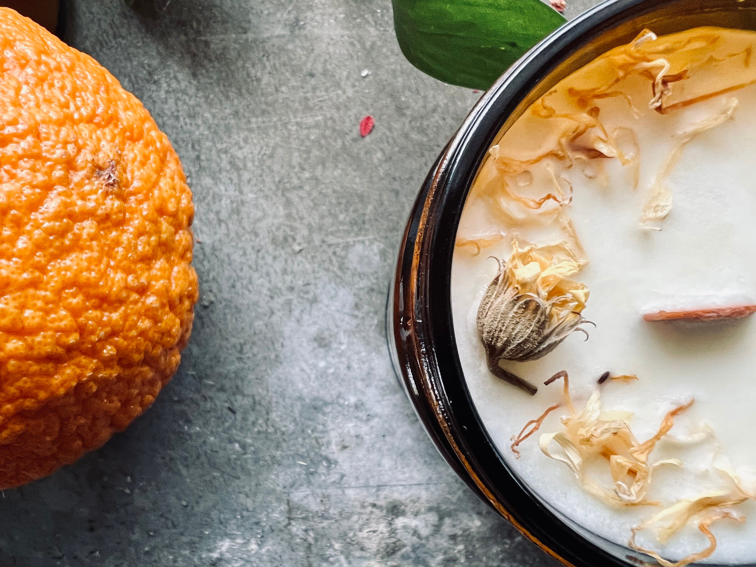 Wooden Wick Candles — Forest Offering