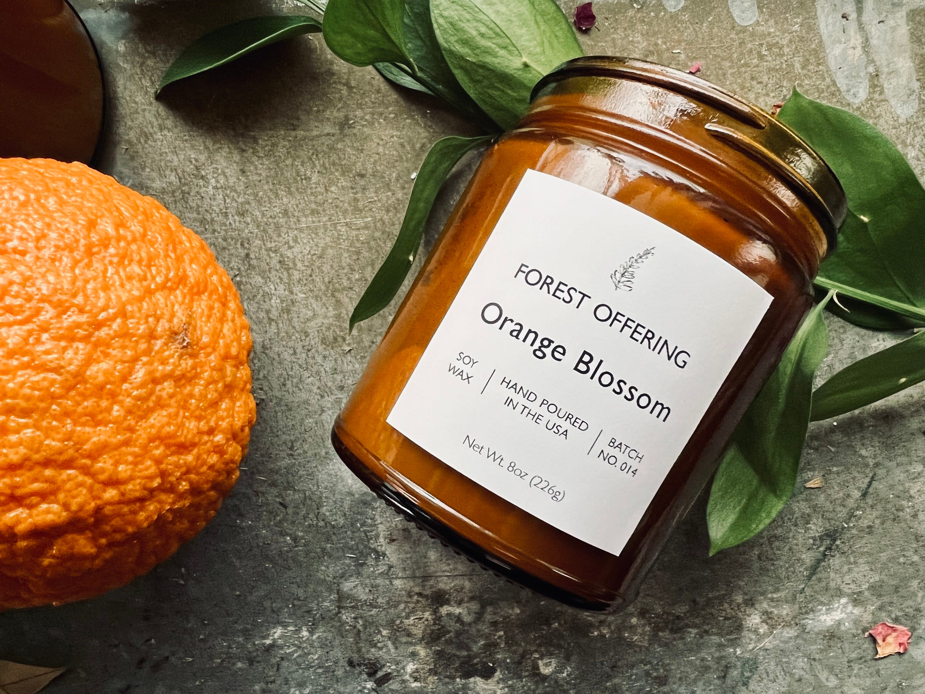 Wooden Wick Candles — Forest Offering