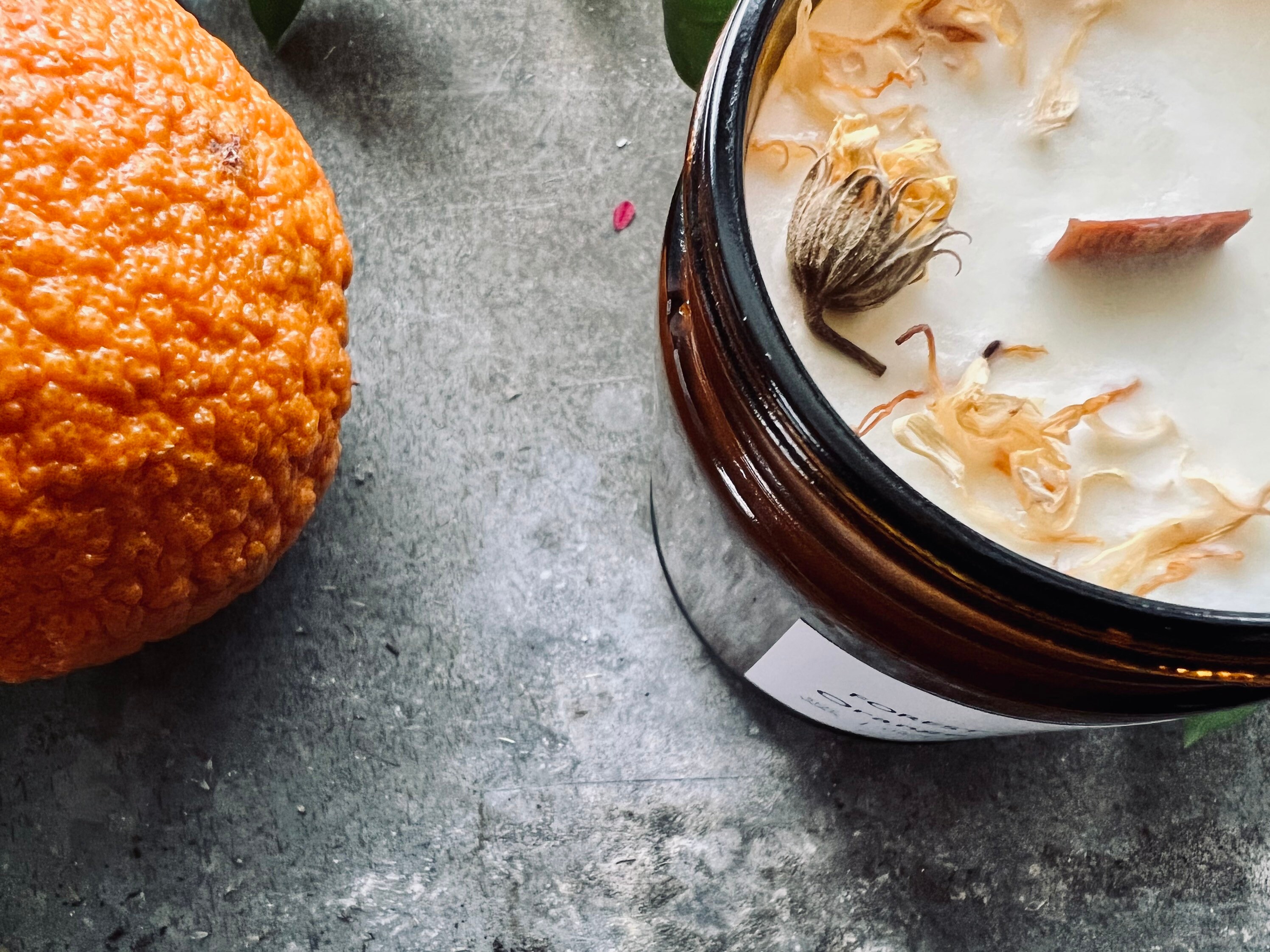 Wooden Wick Candles — Forest Offering