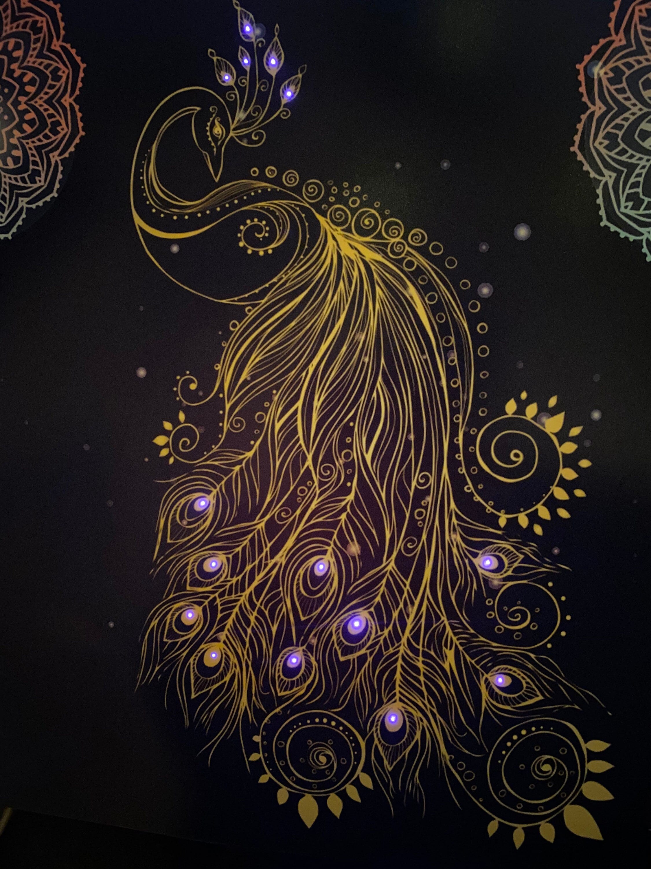 Beautiful Golden Peacock LED String Lights Shadowbox - Etsy
