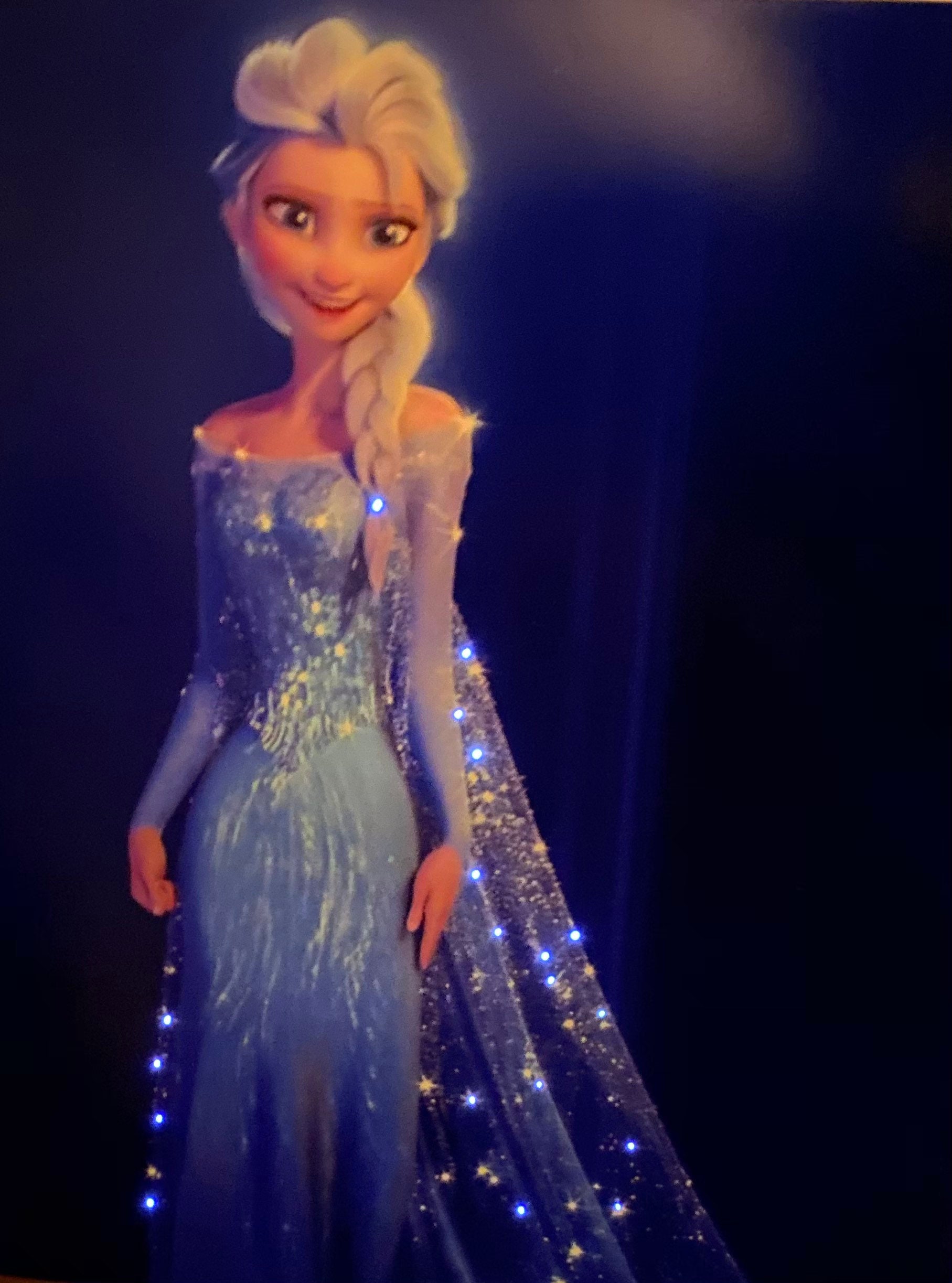 Disney's Frozen Elsa Artwork With LED String Lights - Etsy