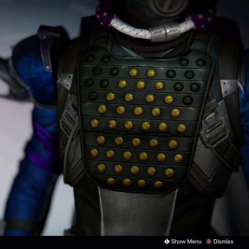 Destiny Lucky Raspberry Chest Armor - Etsy