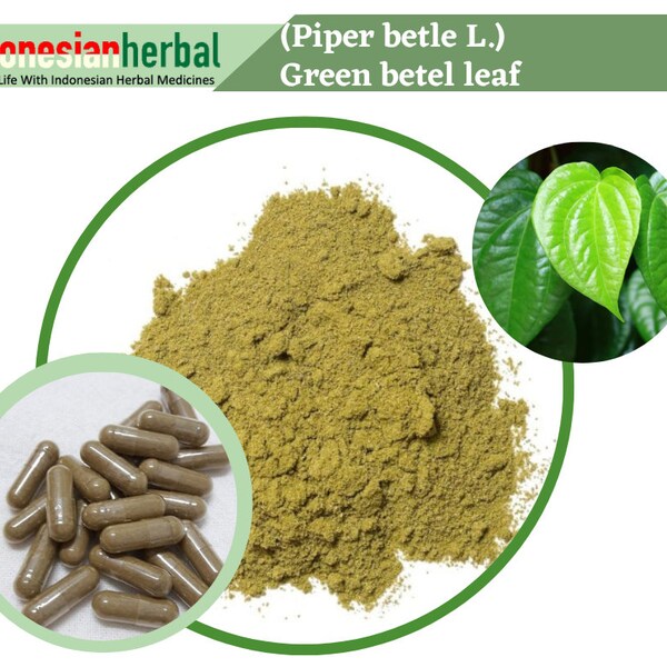 Betel Leaf Plant - Etsy