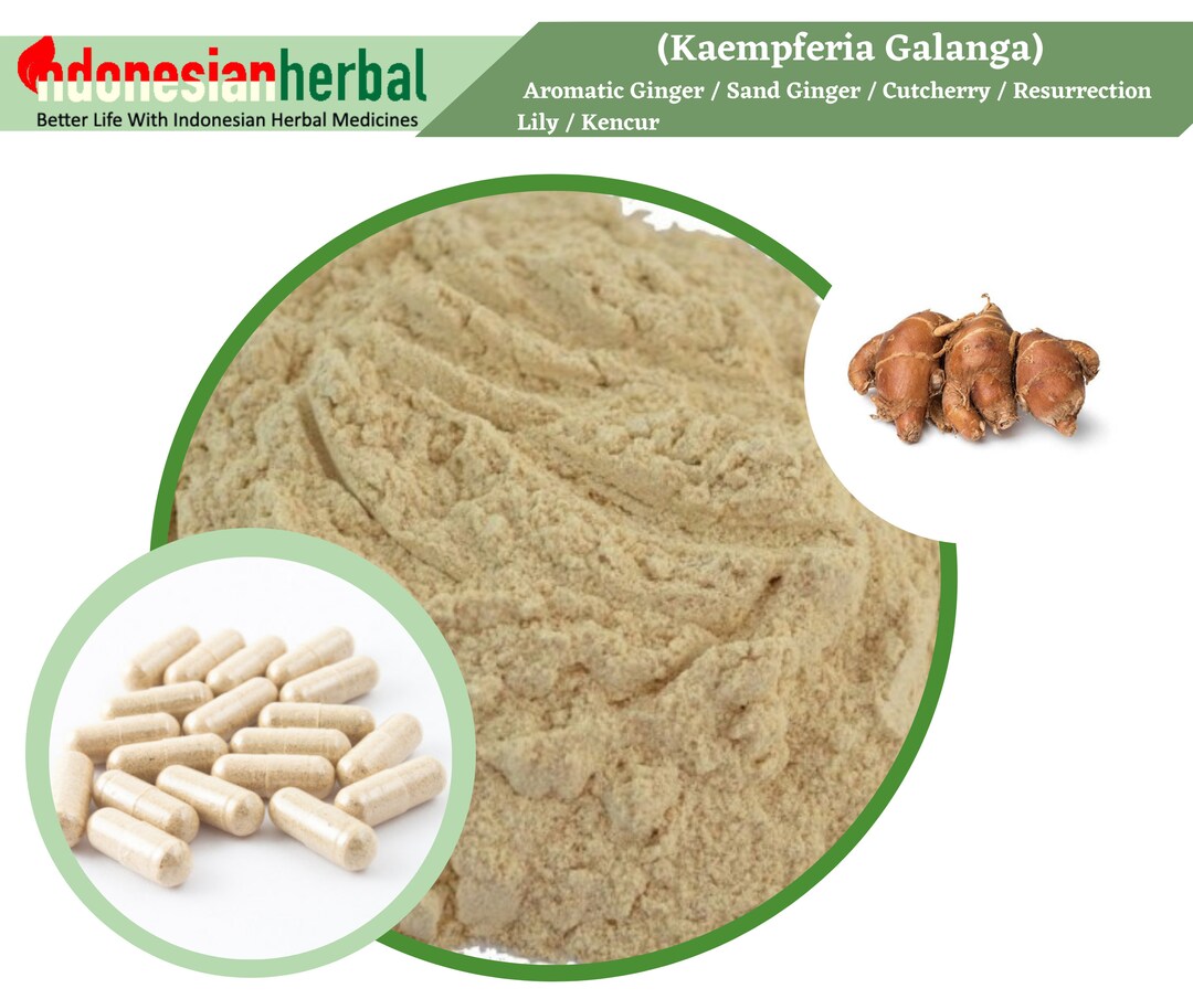 FRESH POWDER Pure Aromatic Ginger Sand Ginger / Cutcherry / Resurrection Lily / Kencur ...