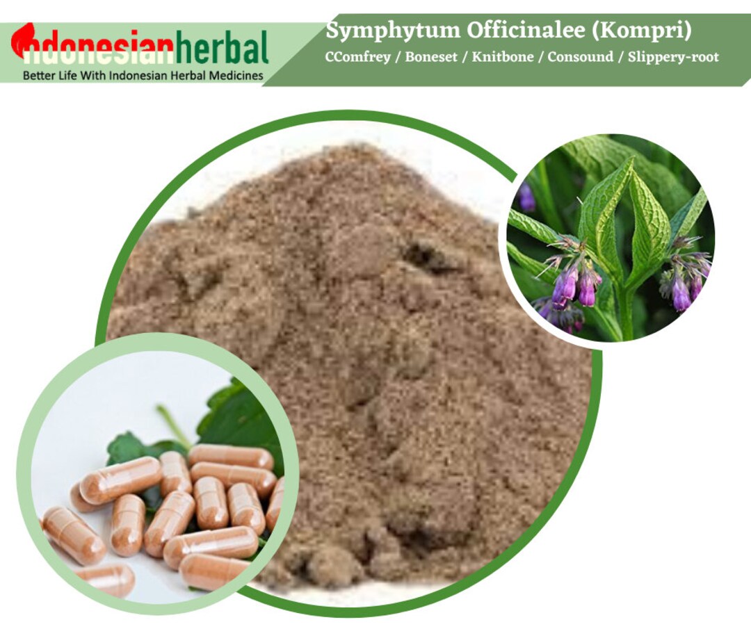 FRESH POWDER Pure Comfrey / Quaker Comfrey / Boneset / Knitbone ...