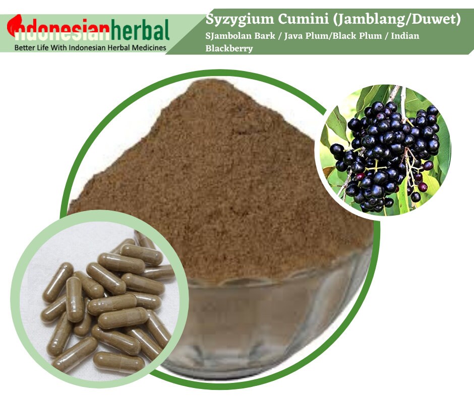 FRESH POWDER Pure Syzygium Cumini Jambolan Bark / Java Plum Black Plum ...