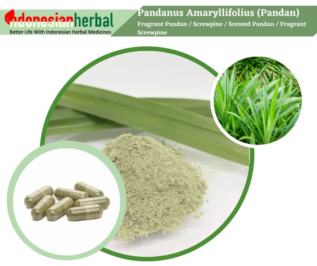 FRESH POWDER Pure Pandan Leaves/ Fragrant Pandan / Screwpine / Scented ...