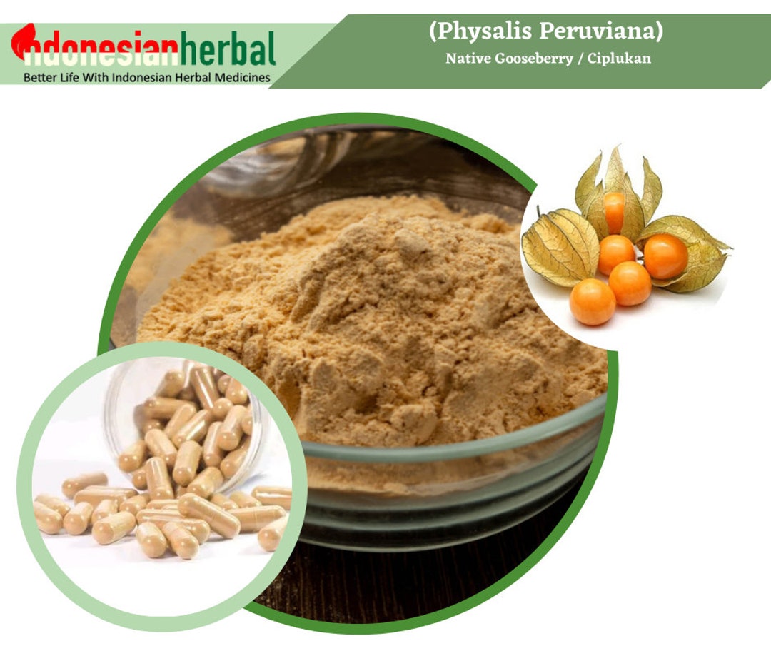 Capsule of Native Gooseberry / Ciplukan physalis Peruviana Organic ...