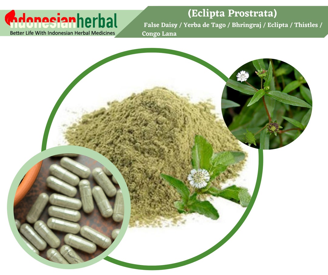 Capsule of False Daisy / Yerba De Tago / Eclipta / Thistles / Congo ...