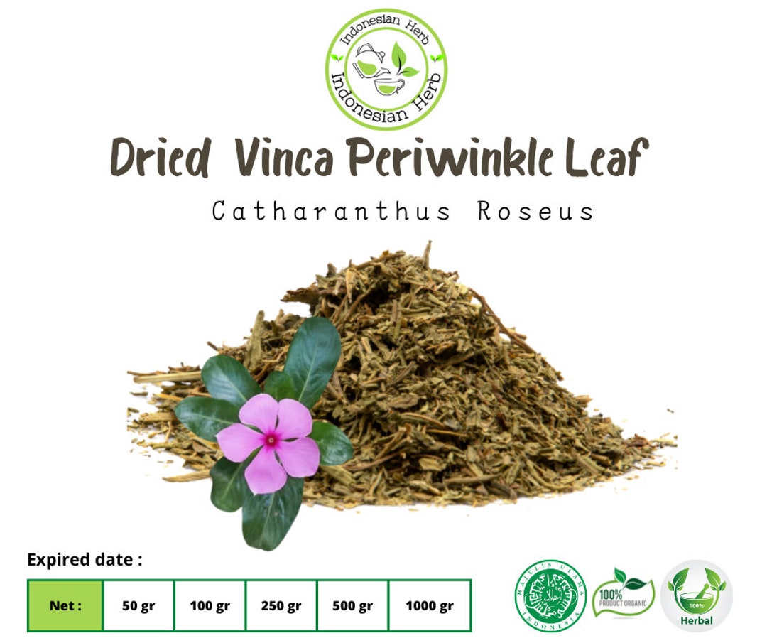 Dried Vinca Periwinkle Dry Catharanthus Roseus Organic Herbs Spices ...