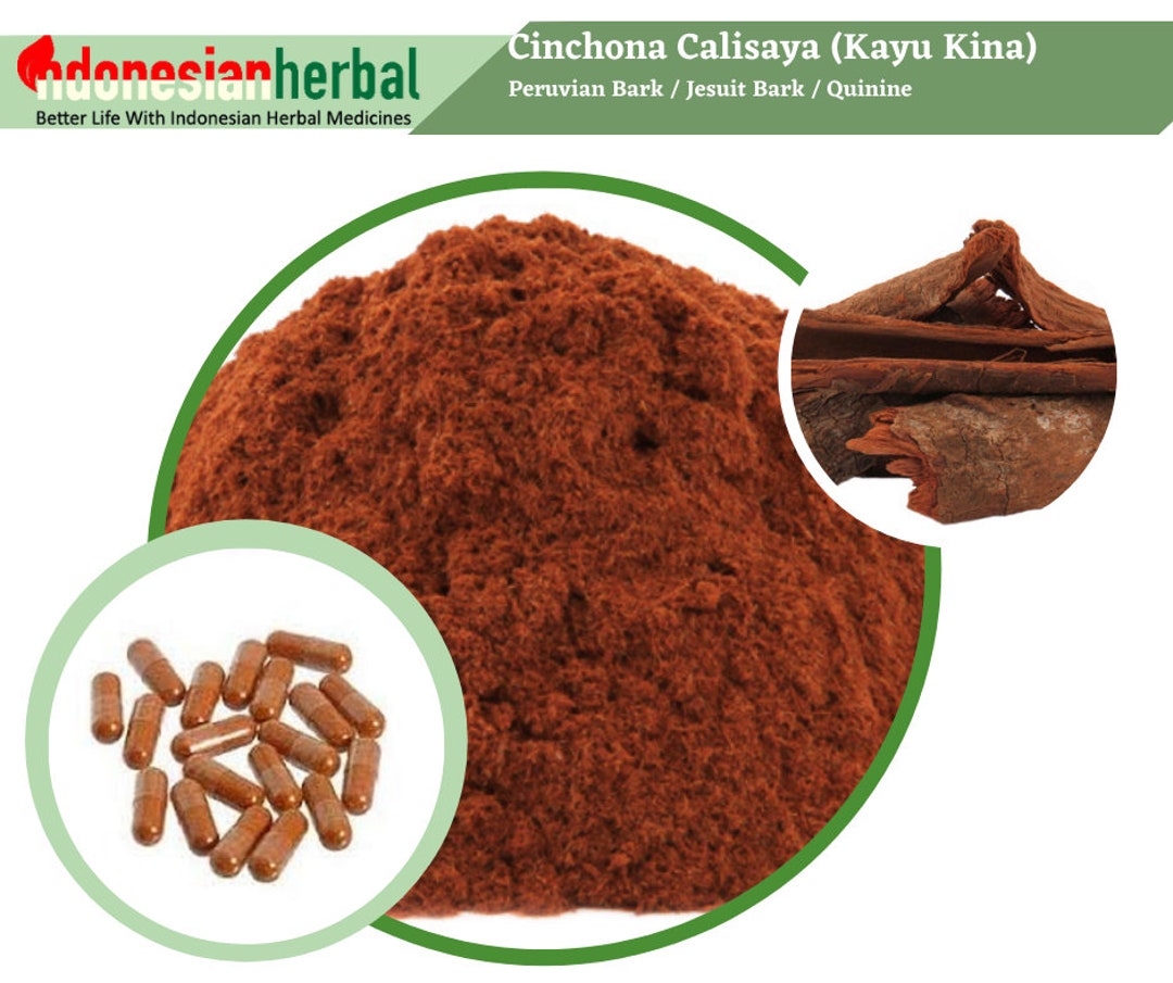 Capsule of Peruvian Bark Jesuit Bark / Quinine cinchona Calisaya ...