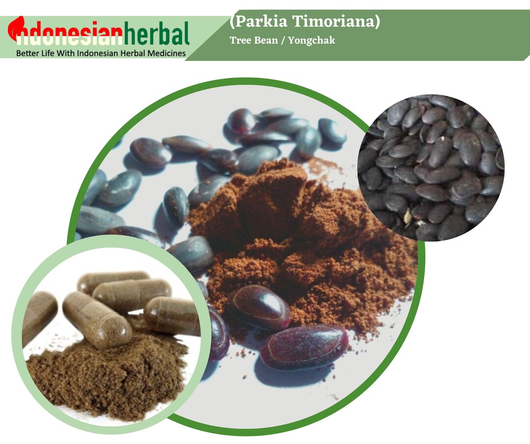 Capsule of Tree Bean / Yongchak parkia Timoriana Organic Wildcrafted ...