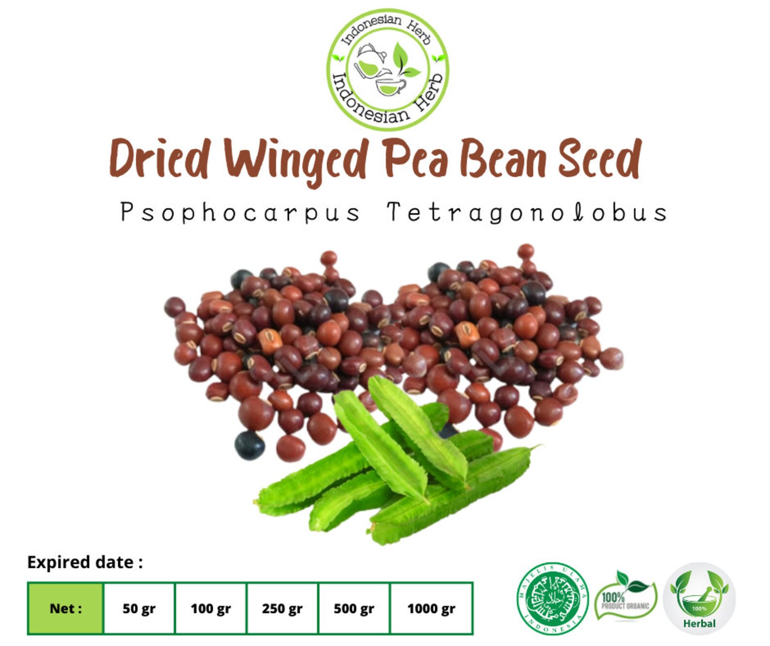 Dried Winged Pea Bean Seed Psophocarpus Tetragonolobus Organic - Etsy