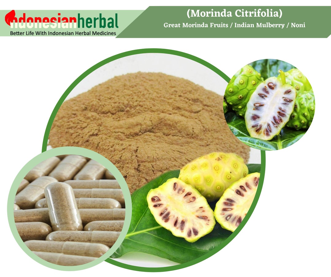 FRESH POWDER Pure Great Morinda Fruits Indian Mulberry / Noni morinda ...
