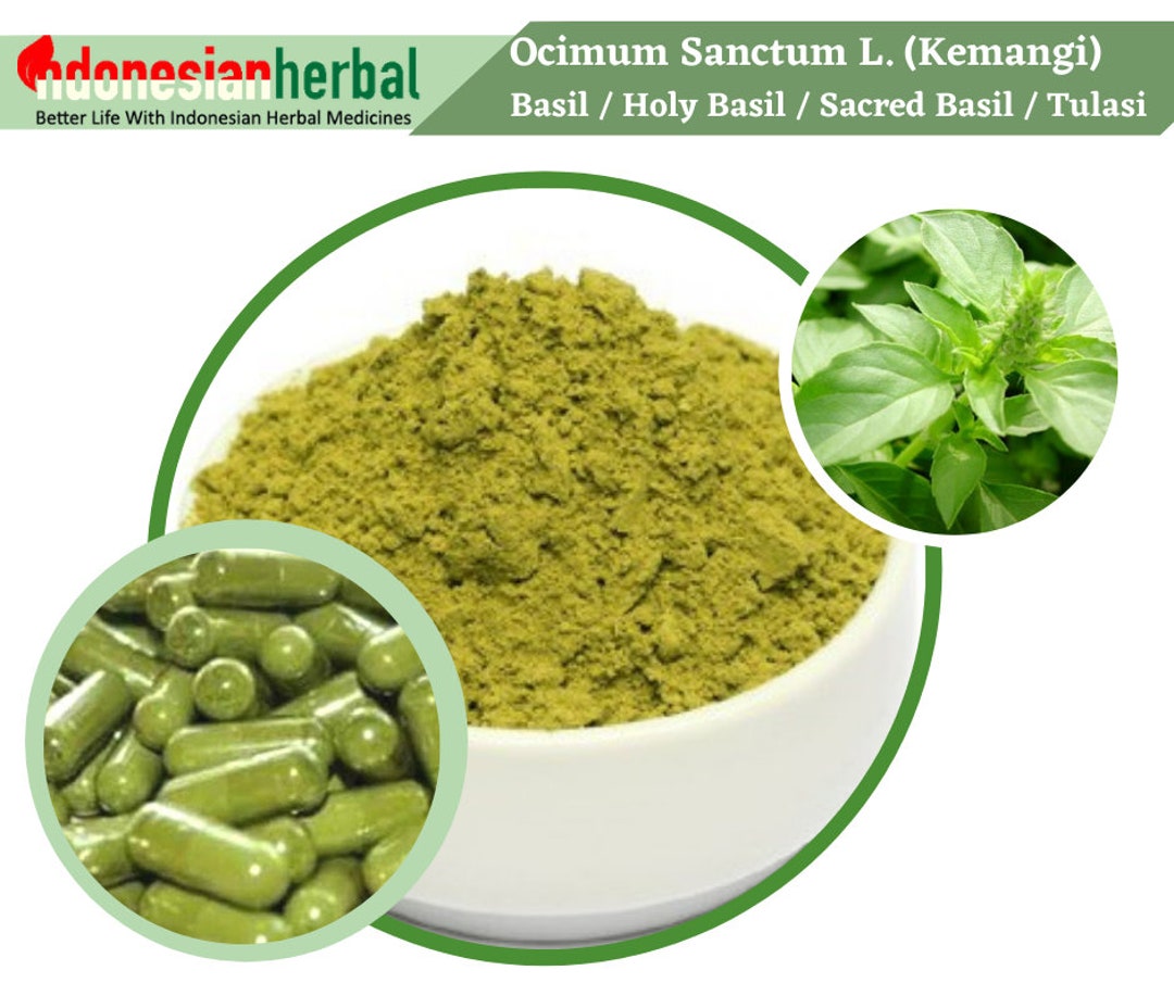 Capsule of PURE Holy Basil/ Sacred Basil/ Tulasi /tulsi Ocimum - Etsy