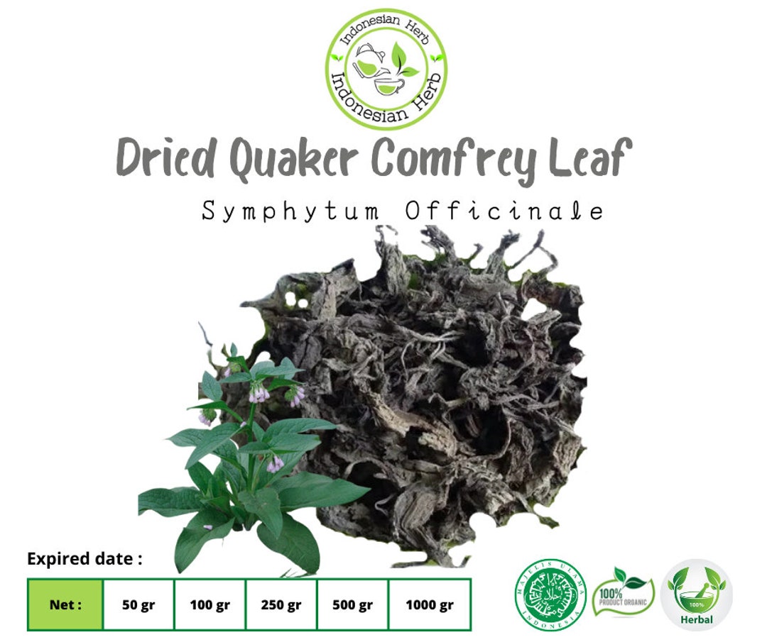 Dried Quaker Comfrey Leaf Dry Symphytum Officinale Premium Fresh ...