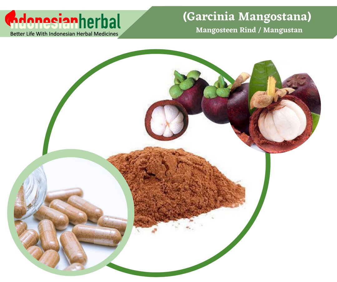 Capsule of Pure Mangosteen Rind / Mangustan garcinia Mangostana 600mg ...