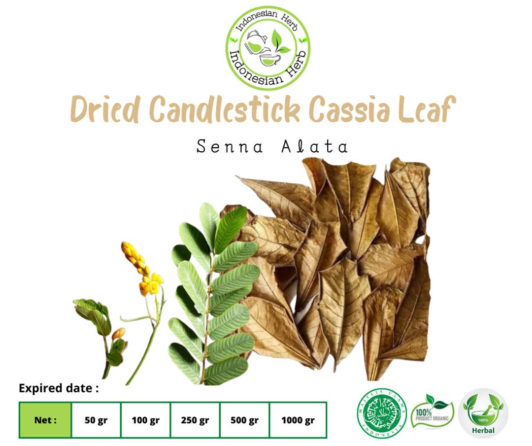 Dried Ringworm Bush Candlestick Cassia Leaf Dry Senna Alata Organic ...