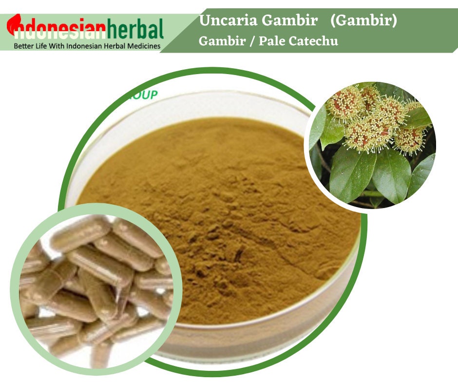 Capsule of Gambir / Pale Catechu uncaria Gambir Organic - Etsy