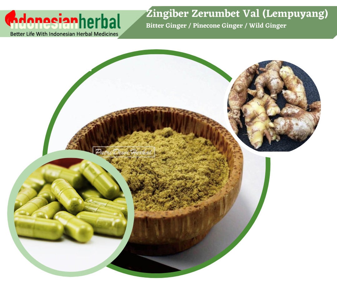 FRESH POWDER Pure Zingiber Zerumbet Val Lempuyang Bitter Ginger / Pinecone Ginger / Wild Ginger ...