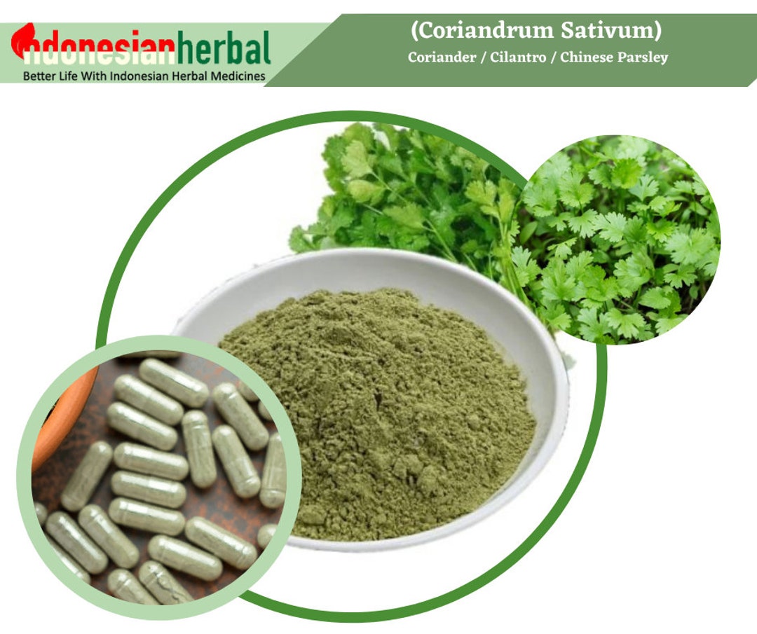 Capsule of Coriander / Cilantro / Chinese Parsley coriandrum Sativum ...