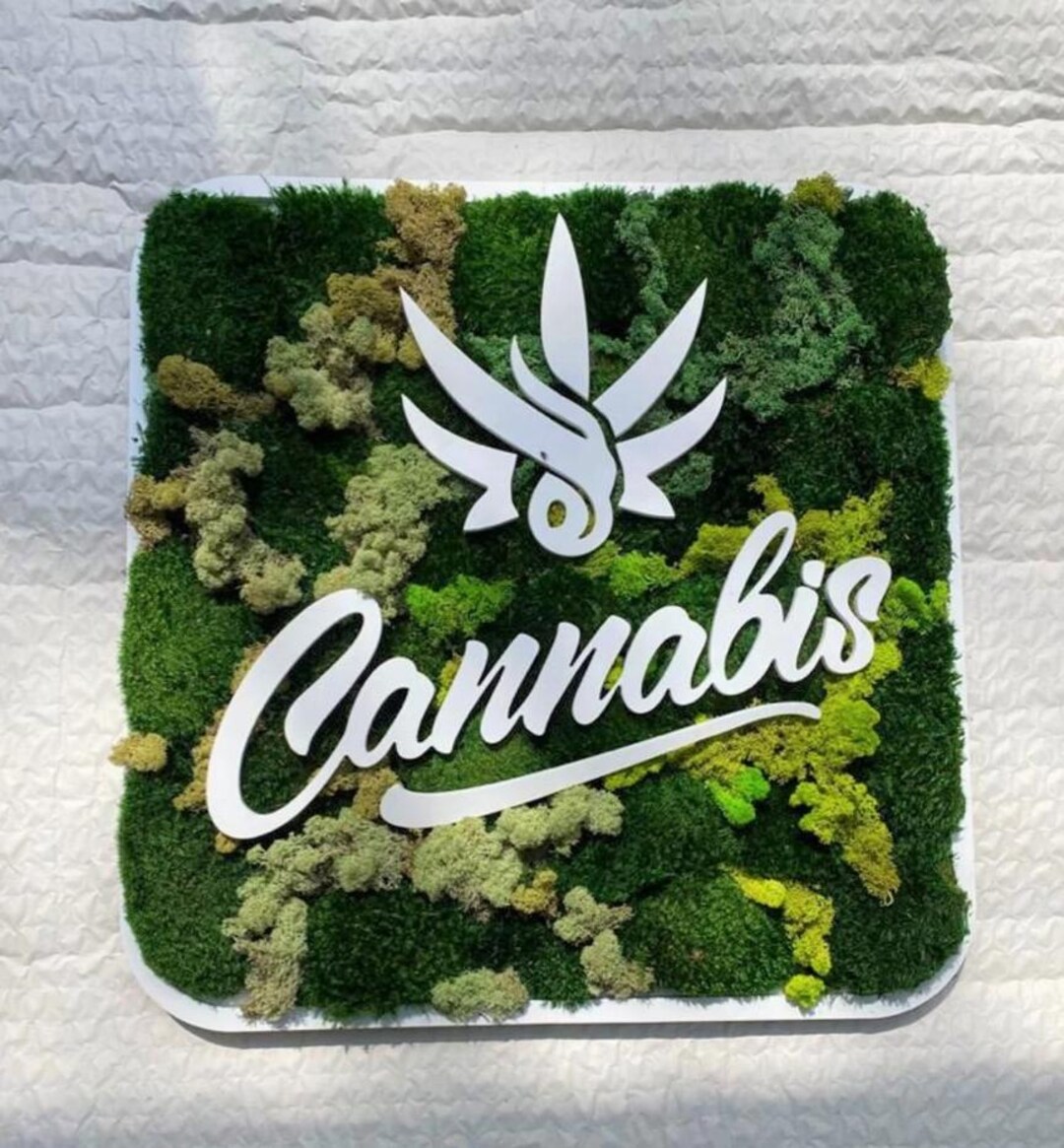 Wall Custom Moss Office Sign, Wall Real Moss Art, Natural Office Wall ...