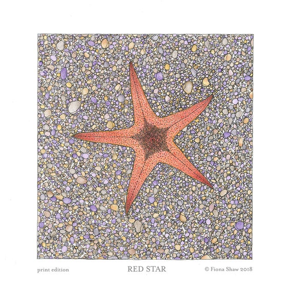 Red Star Limited Edition Print - Etsy