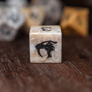 Dnd Dice Set Coral Fossil Polyhedral Dice Set Gemstone Set Dungeons and ...