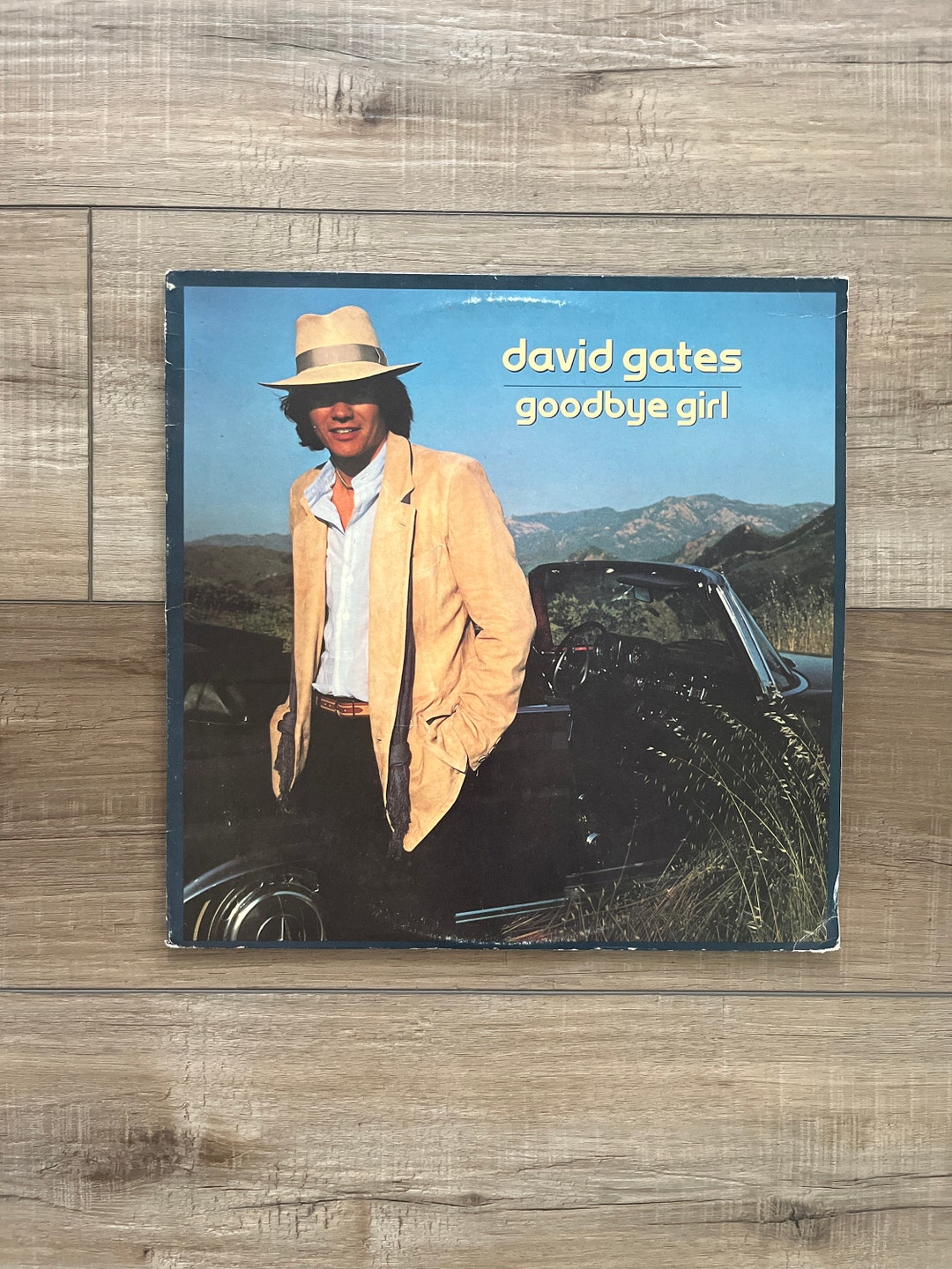 David Gates Goodbye Girl Album 1978 David Gates Album - Etsy