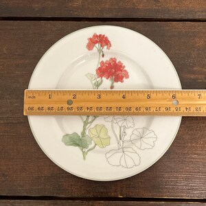 6 Block Spal Geranium Bread & Butter Plates, 1981 Plates Geranium by ...