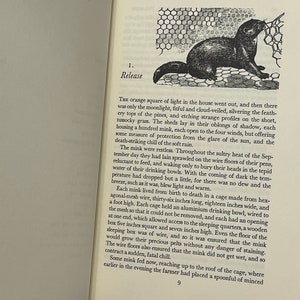 Syla, the Mink Book by Ewan Clarkson, 1968 Hardcover Book, Drawings by ...