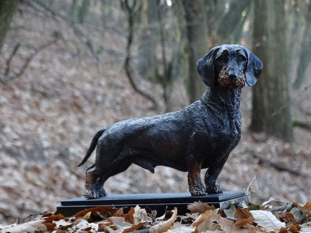 Wire-haired Dachshund Bronze Statue - Etsy