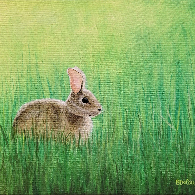 BenCollinsArt - Etsy