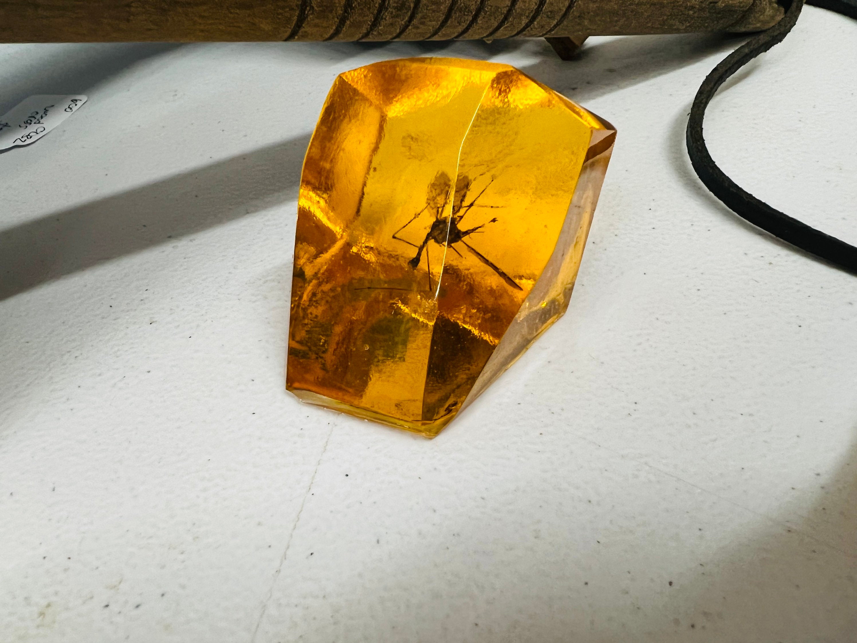 Jurassic Art Mosquito in Amber Prop Topper - Etsy