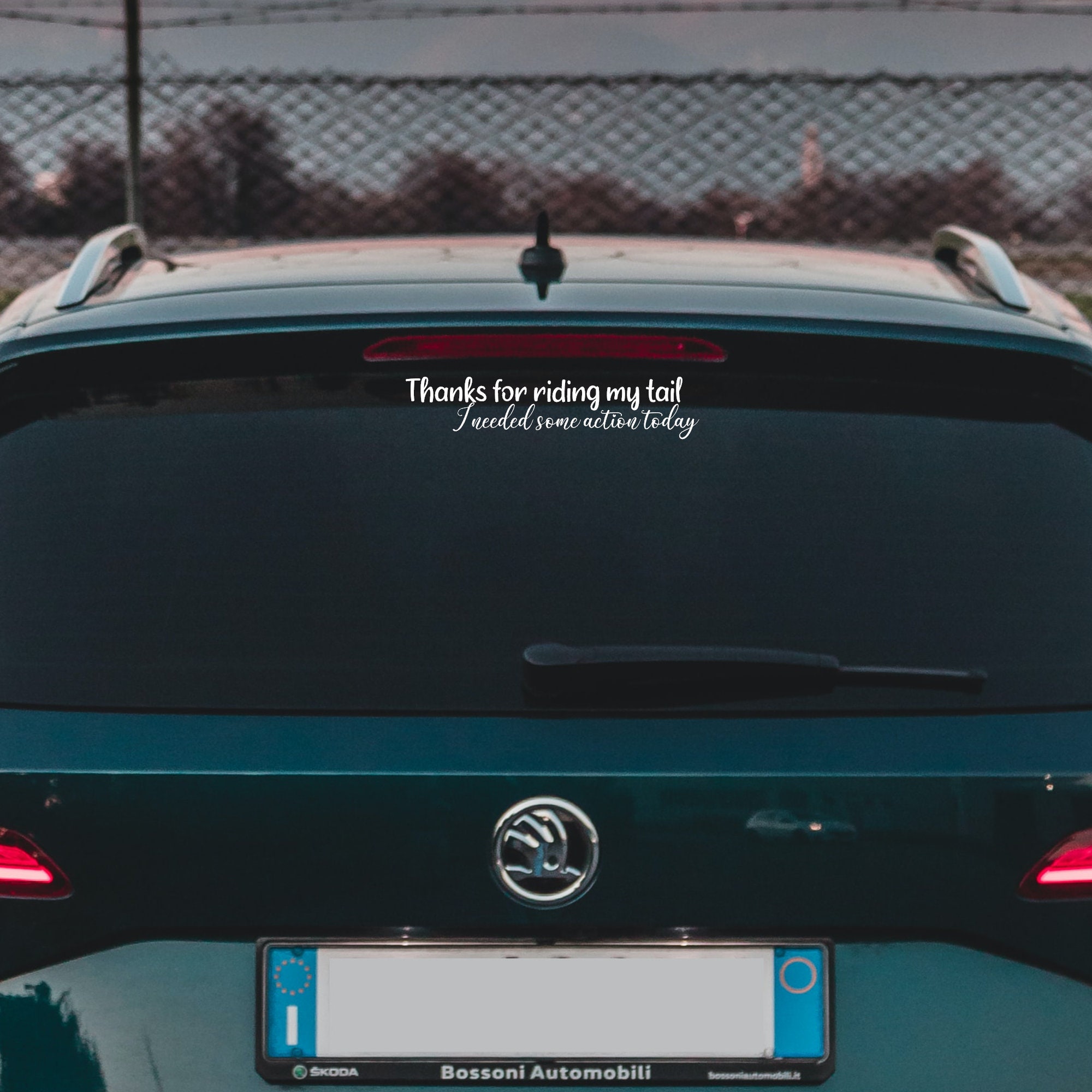 Ride My Tail Decals Funny Car Decals Car Sticker | Etsy