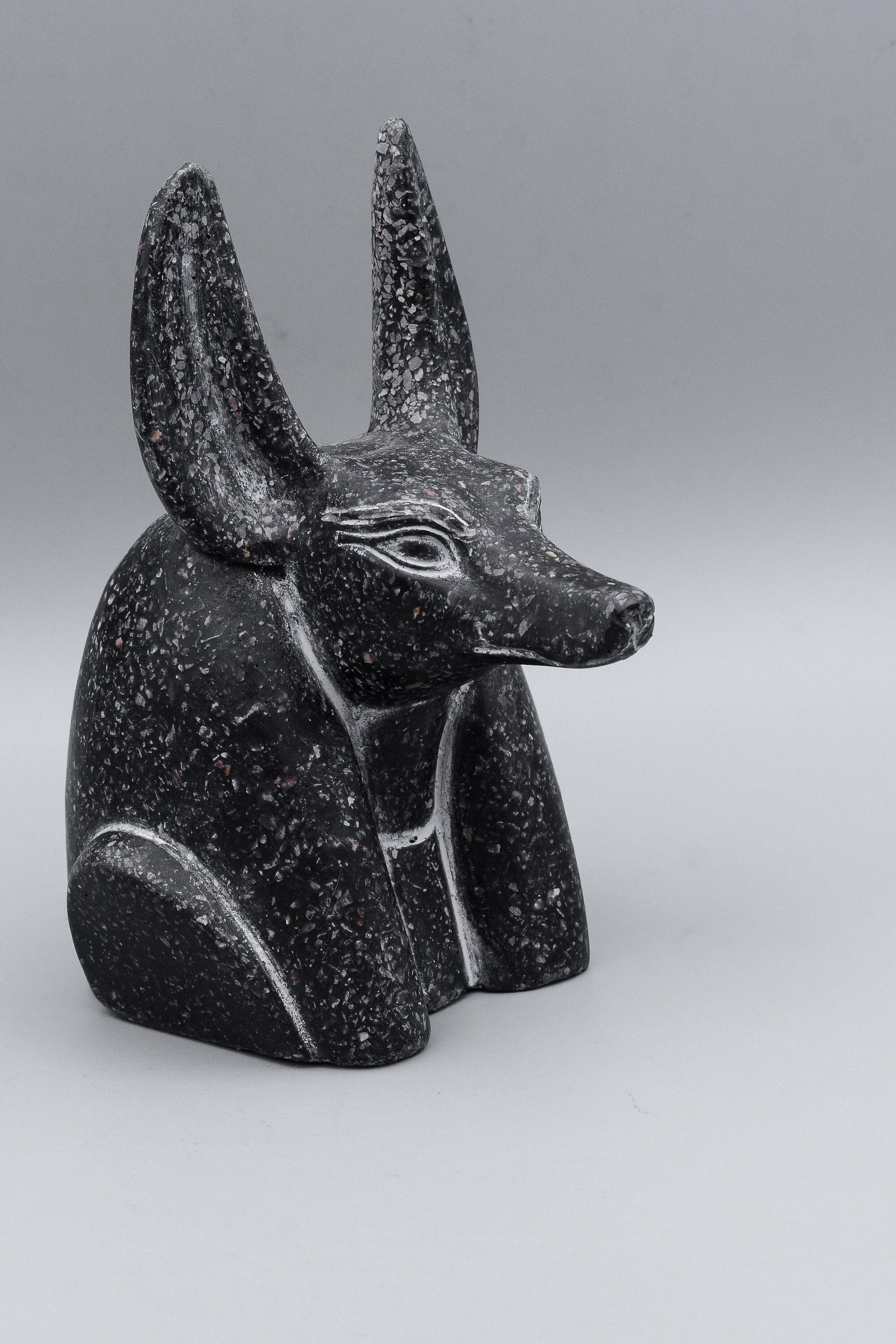 Anubis Head