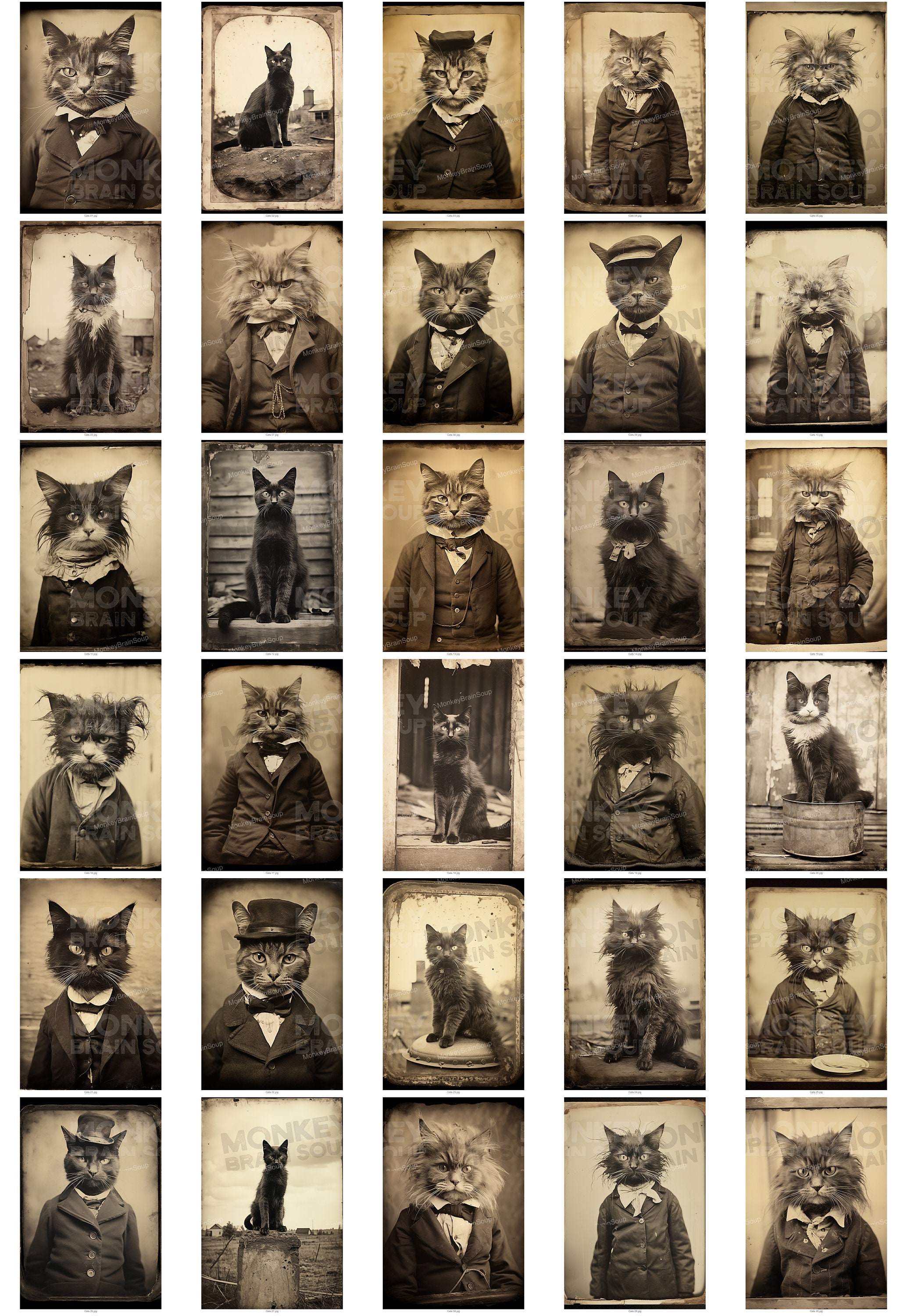 Vintage Style Photos of Cats. Printable Download Pack of 30 High ...