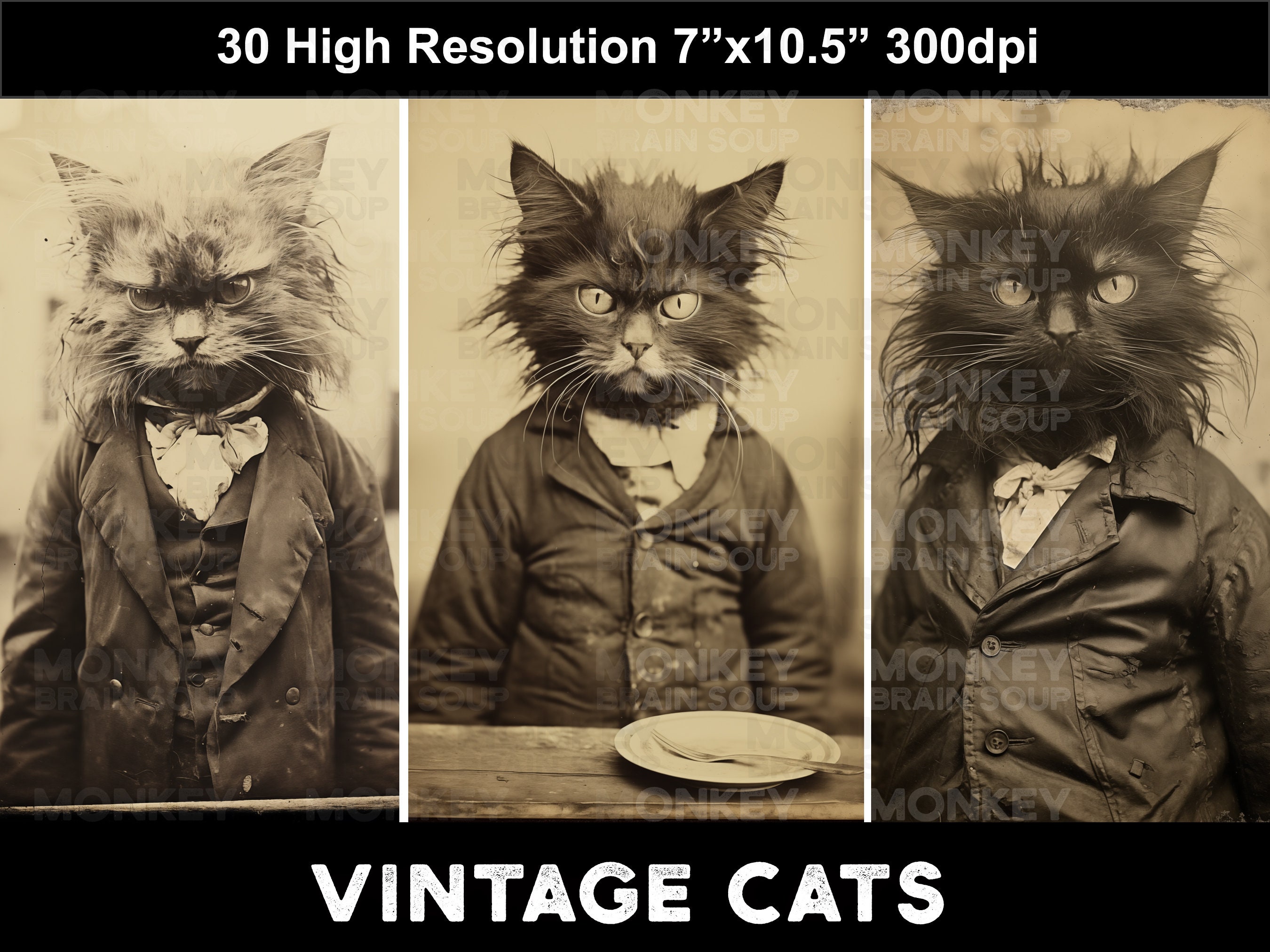 Vintage Style Photos of Cats. Printable Download Pack of 30 High ...