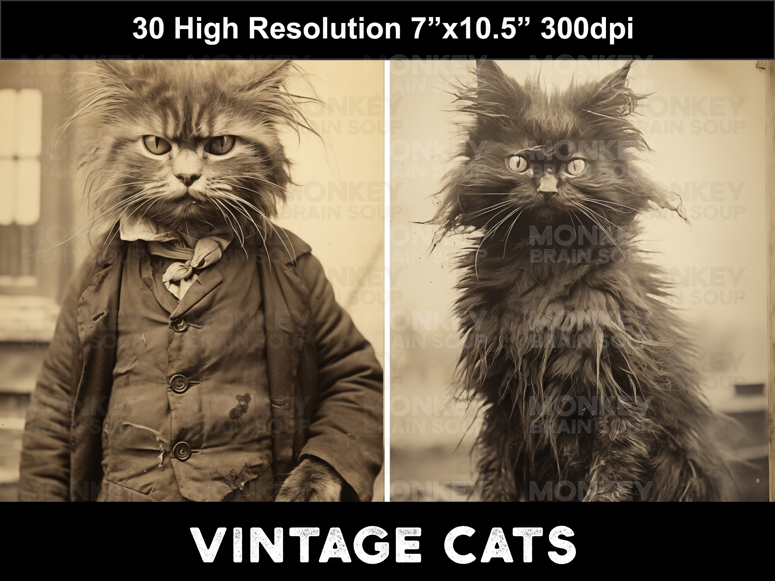 Vintage Style Photos of Cats. Printable Download Pack of 30 High ...
