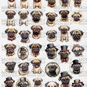 A Collection of 35 Premium Printable Pugs! High Resolution JPG, PDF ...
