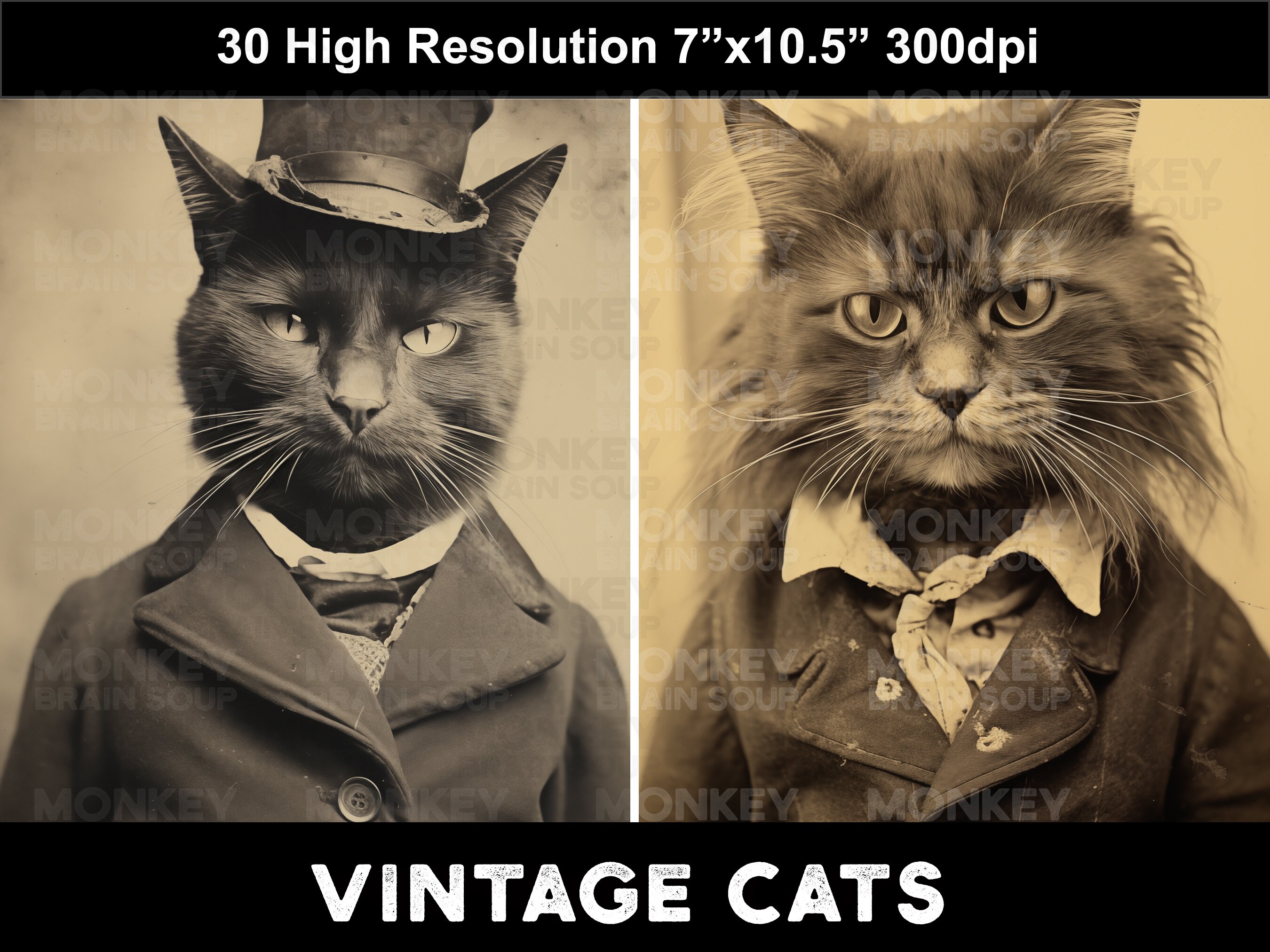 Vintage Style Photos of Cats. Printable Download Pack of 30 High ...