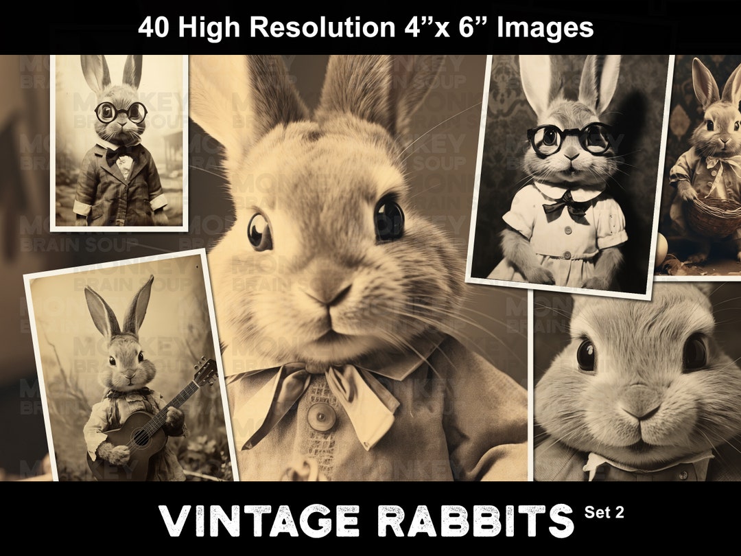 More Vintage Style Cute and Funny Bunny Rabbits for Collages, Cards ...